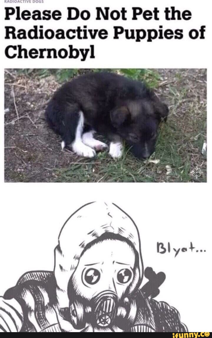 As person with one arm, people always ask, you can do that with one arm ...