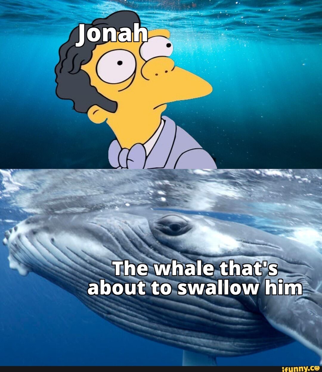 Jonah The whale that's about to swallow him - iFunny