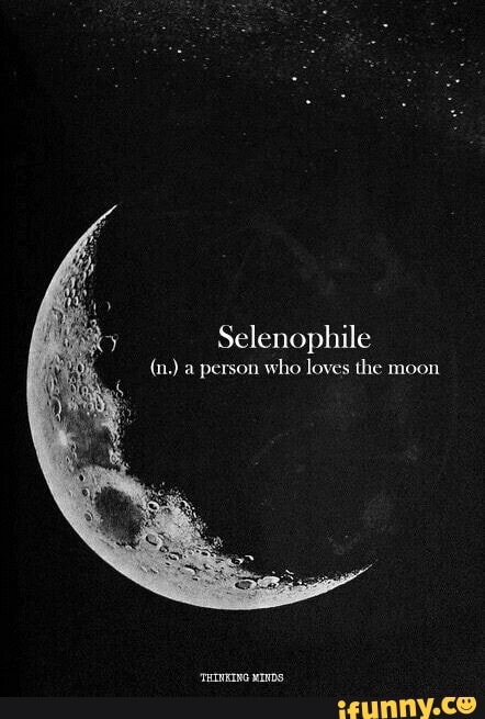 Selenophile (n.) a person who loves the moon. - iFunny