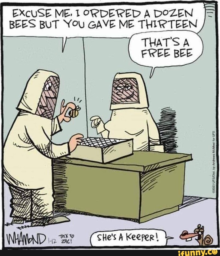 EXCUSE ME ORDERED A DOZEN BEES BUT YOu GAVE ME THIRTEEN THAT'S A BEE ...
