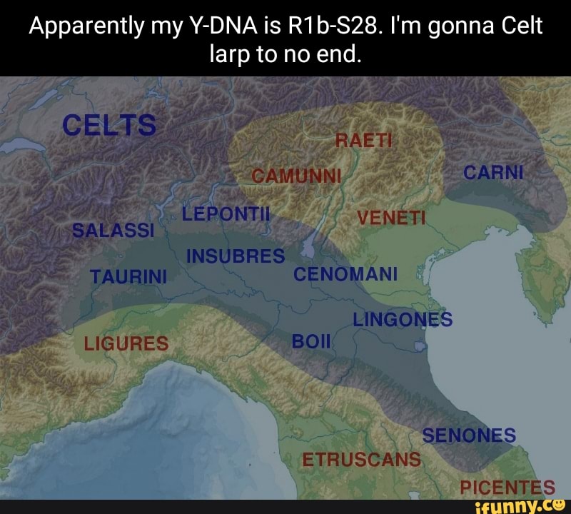 Taurini memes. Best Collection of funny Taurini pictures on iFunny