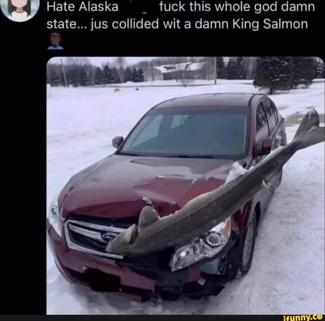 Magic Thick of the TikTok dopdien." enenre: - iFunny