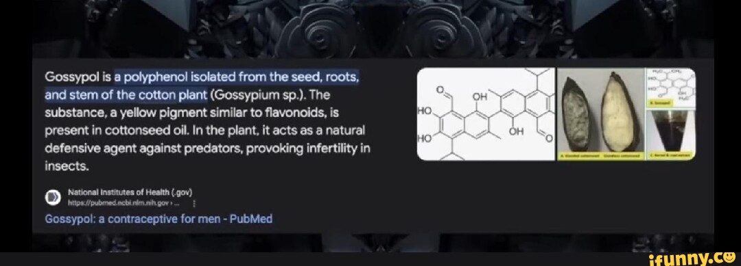 Gossypol is a polyphenol isolated from the seed, roots, and stem of the ...