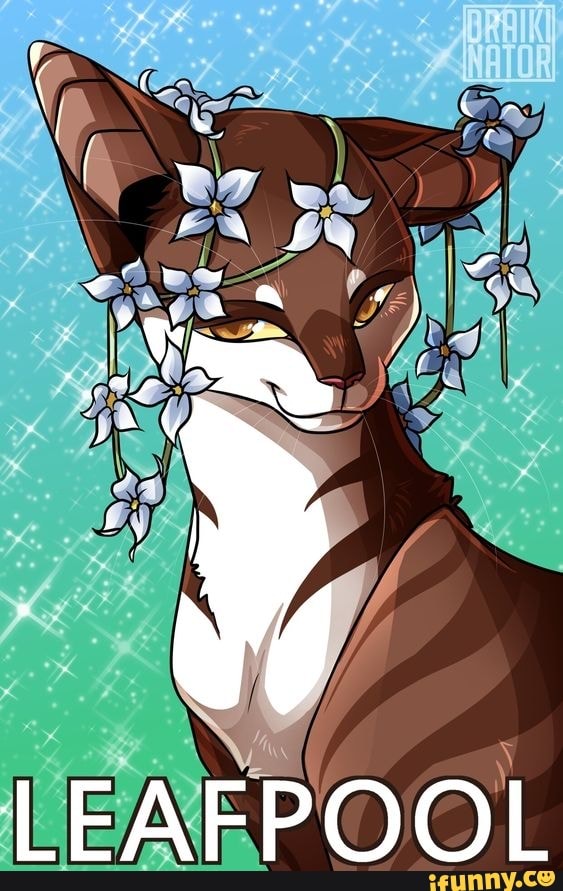 Leafpool memes. Best Collection of funny Leafpool pictures on iFunny