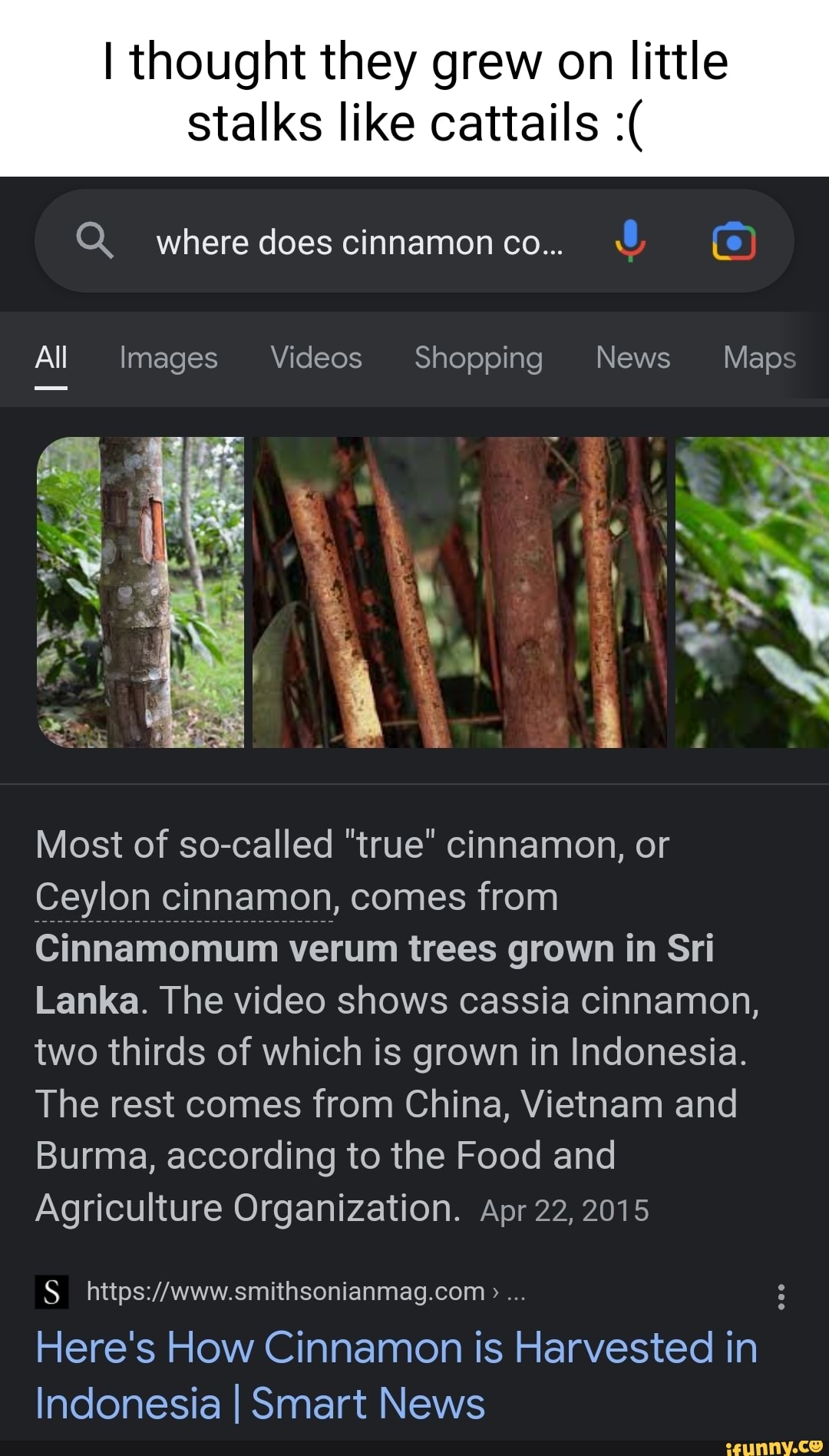 Cattails memes. Best Collection of funny Cattails pictures on iFunny