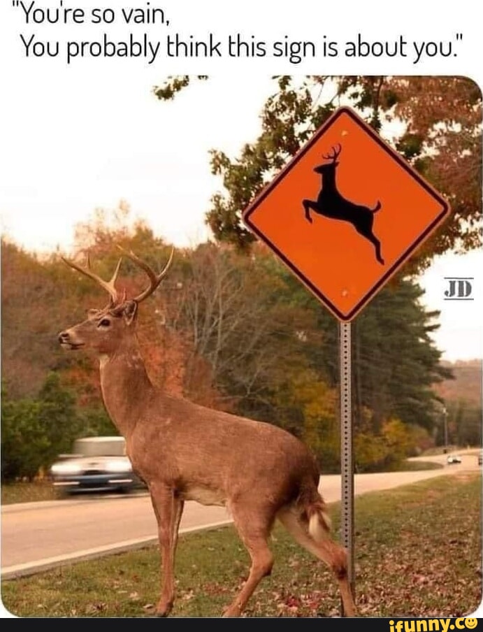 Youre so vain, You probably think this sign I is about you." - iFunny