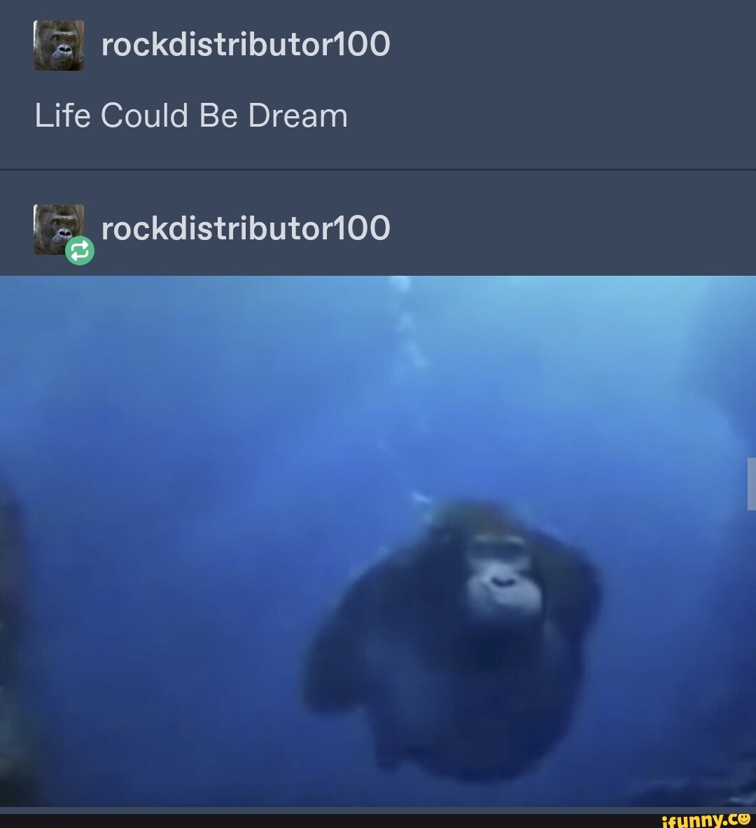Lifecouldbeadream memes. Best Collection of funny Lifecouldbeadream ...