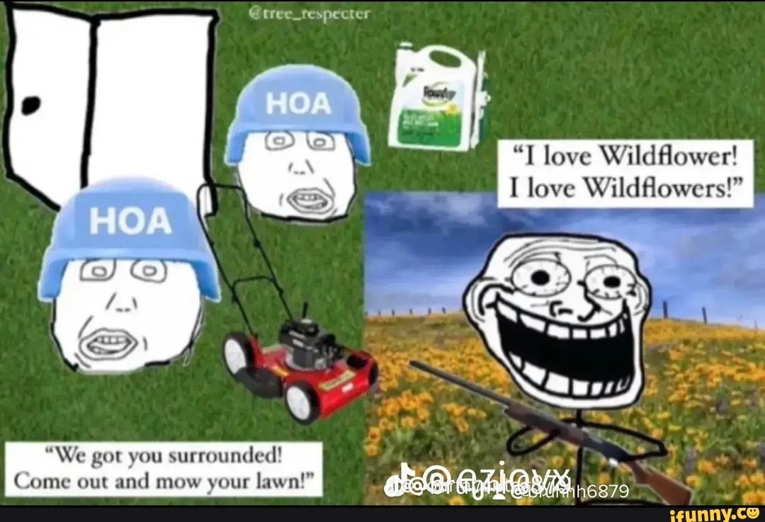 Tree_tespecter "T love Wildflower! I love Wildflowers!" We gor you ...