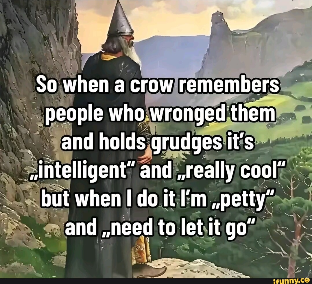 Crows memes. Best Collection of funny Crows pictures on iFunny