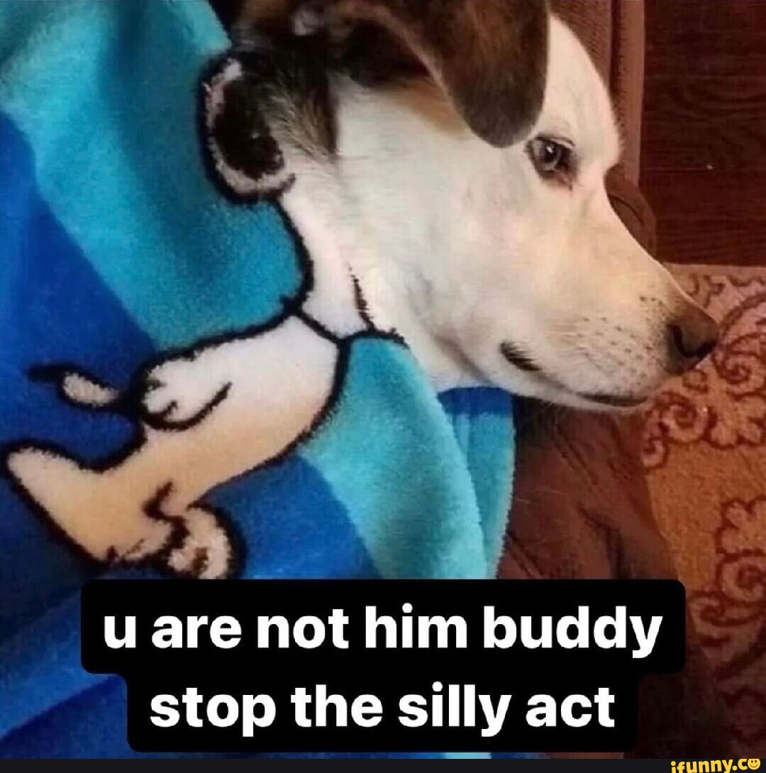 Af u are not him buddy stop the silly act I cal - iFunny