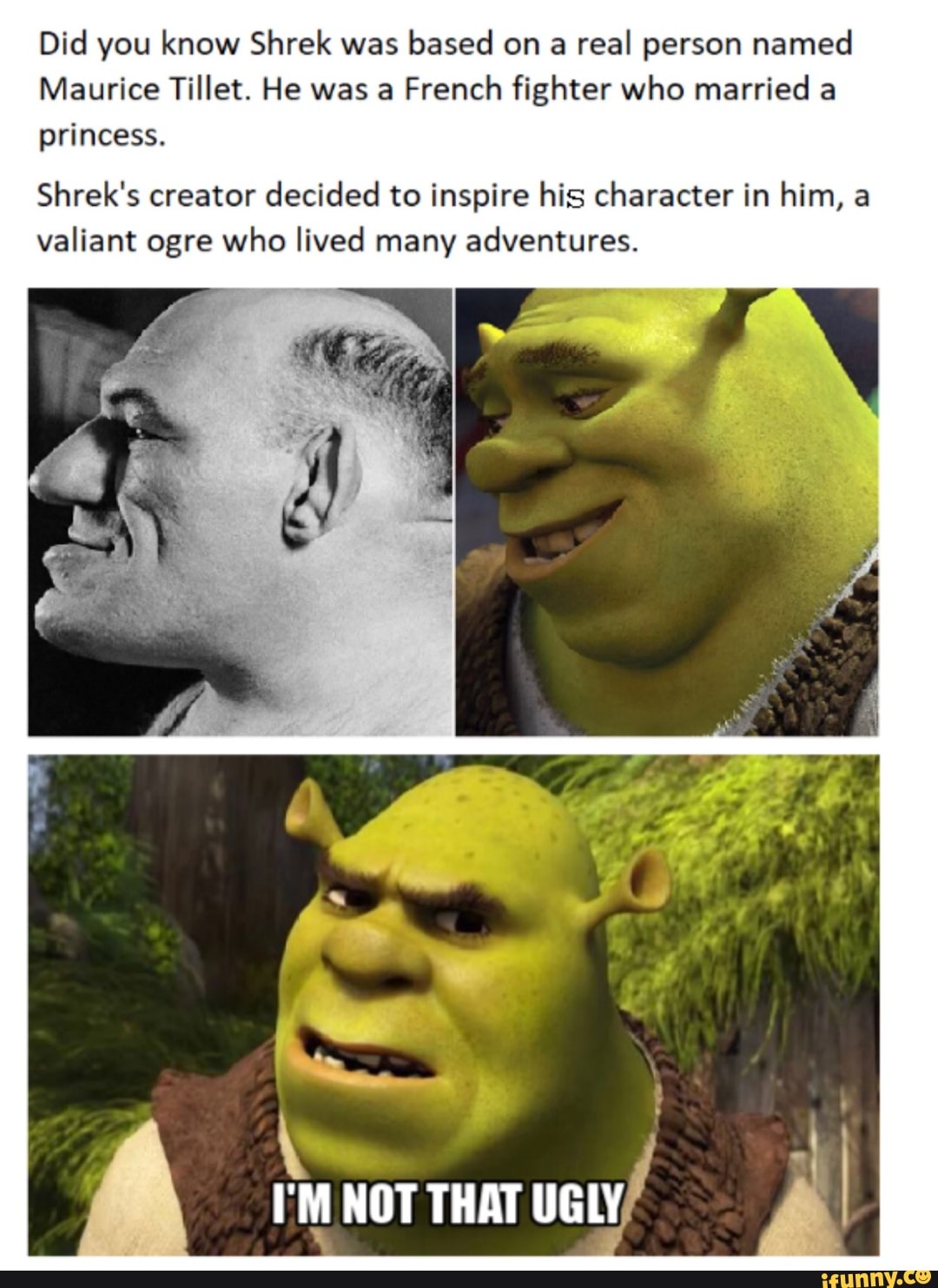 Did you know Shrek was based on a real person named Maurice Tillet. He ...