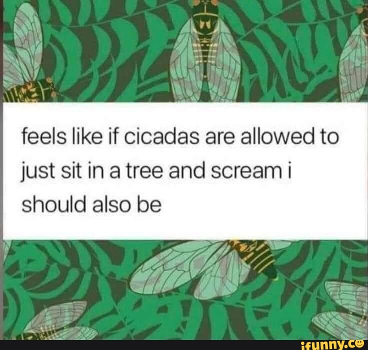 Cicadas memes. Best Collection of funny Cicadas pictures on iFunny