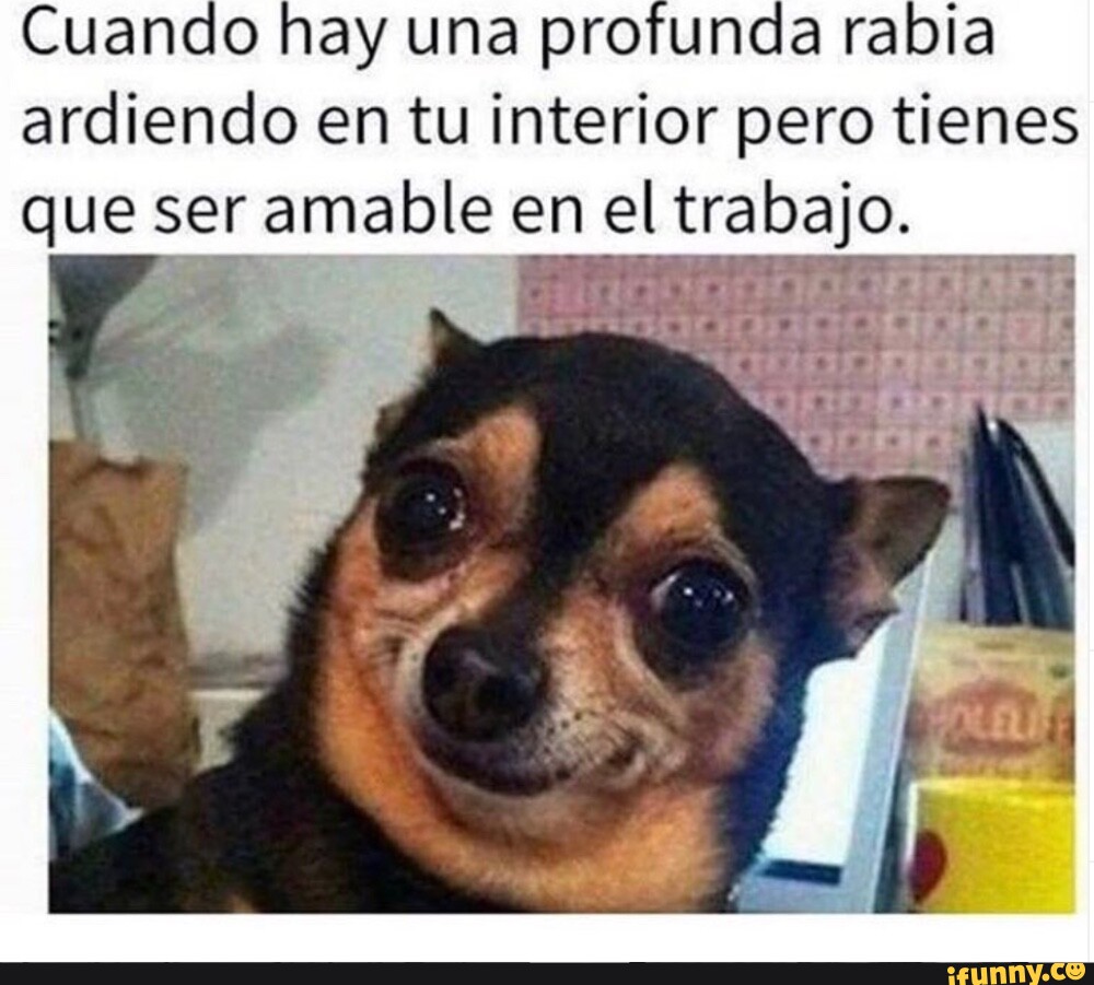 Cuando hay una profunda rabia ardiendo en tu interior pero tienes que ...