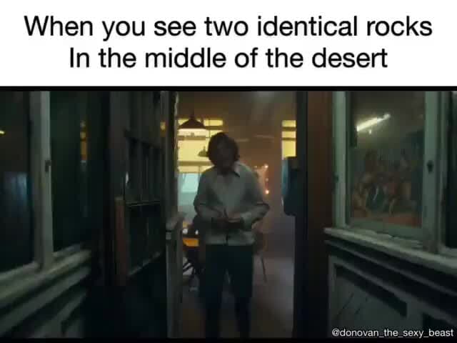 When you see two identical rocks In the middle of the desert - iFunny :)