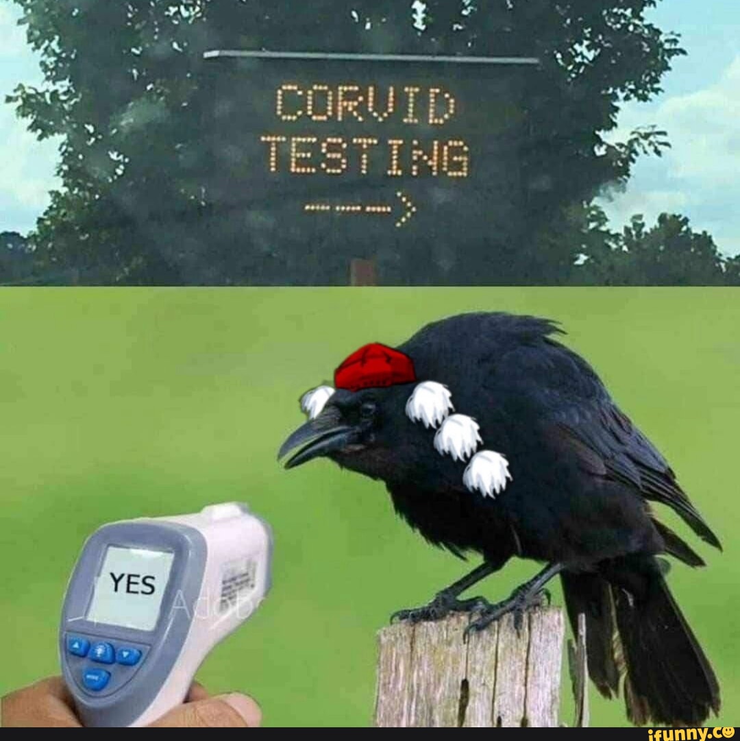 Touhou memes memes. The best memes on iFunny