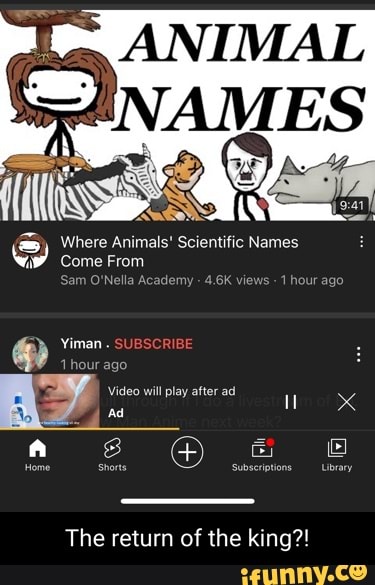 Where Animals' Scientific Names Come From Sam O'Nella Ac " Yiman UBSER ...