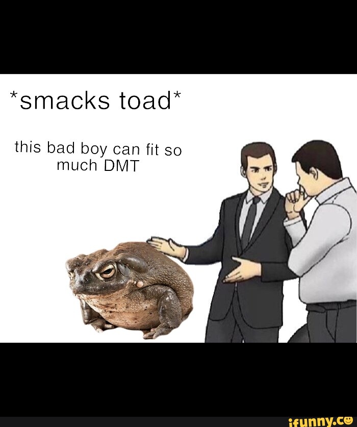*smacks toad* this bad boy can fit so much DMT - iFunny