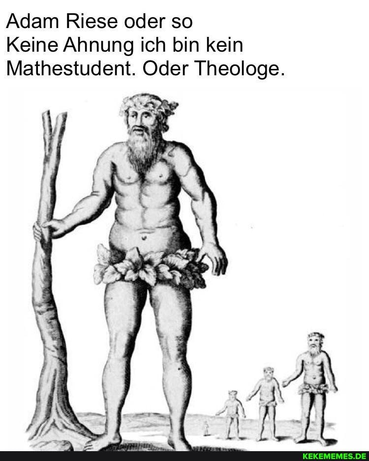 Wer Tragt Das Meiste Gewicht