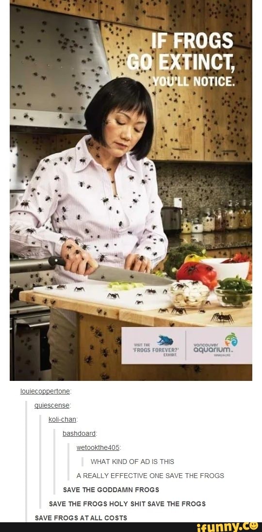 IF FROGS GO EXTINCT, NOTICE FROGS FOREVER?" louiecoppertone: quiescense ...