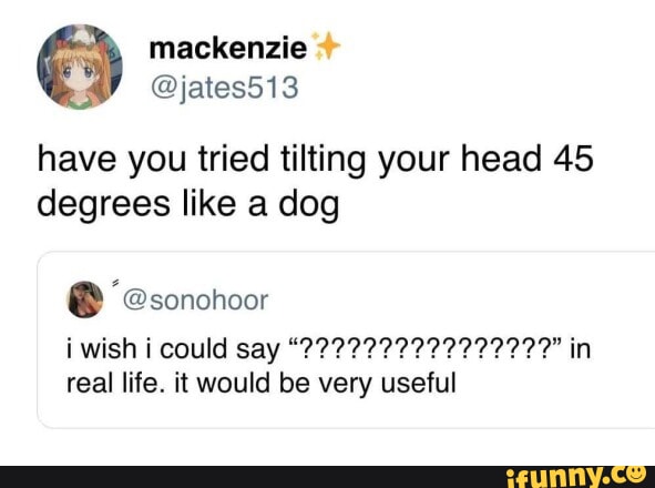 Have you tried tilting your head 45 degrees like a dog '@sonohoor i ...