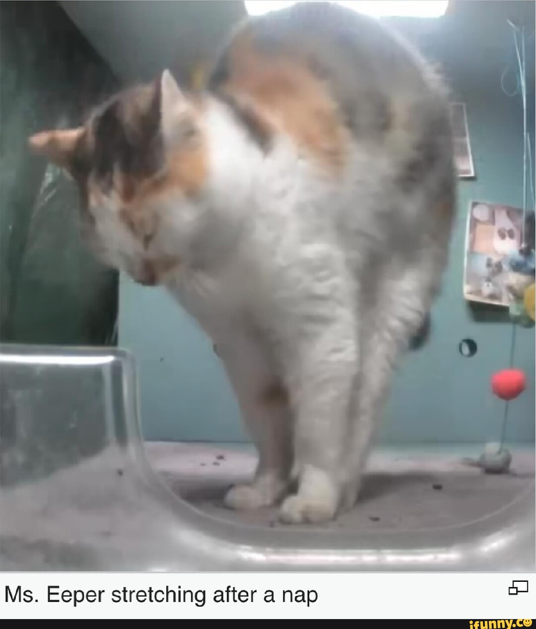 Stretching memes. Best Collection of funny Stretching pictures on iFunny