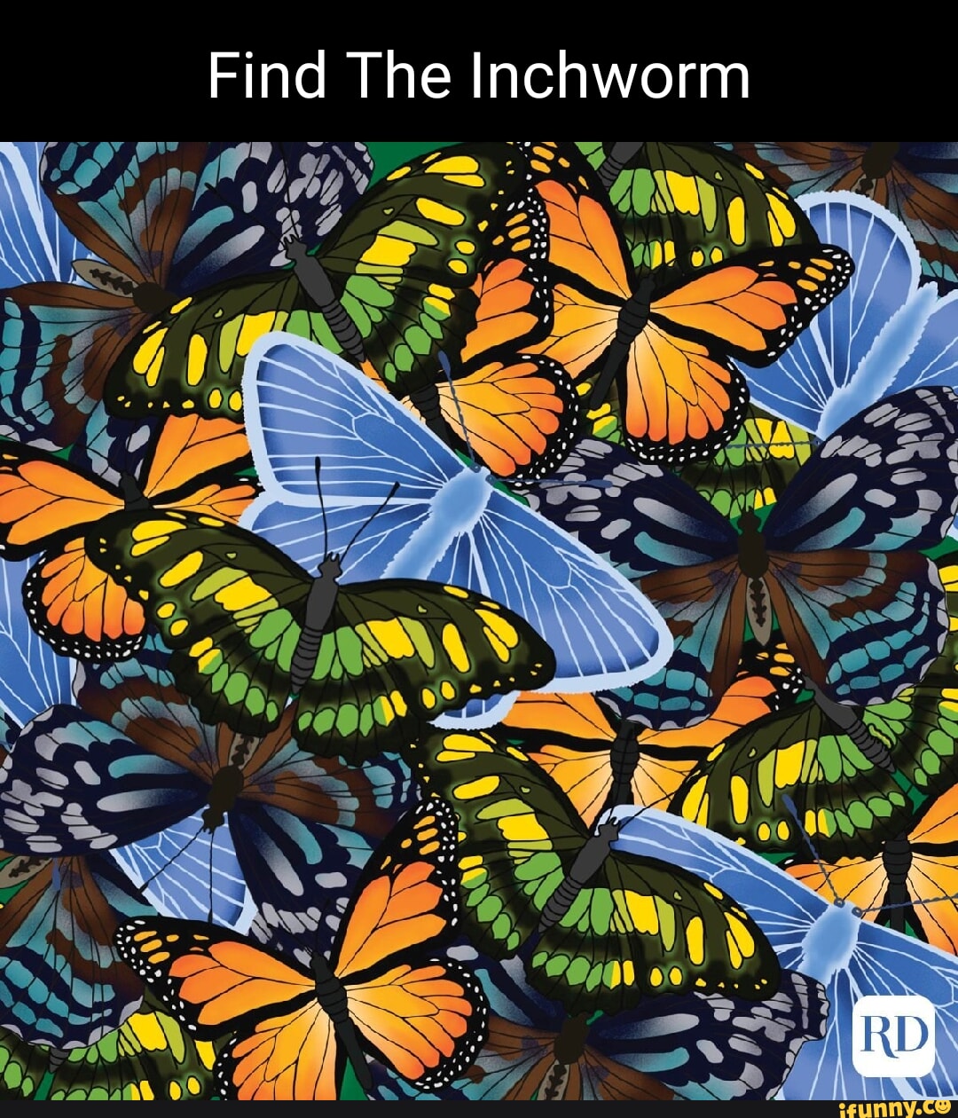 Inchworm memes. Best Collection of funny Inchworm pictures on iFunny