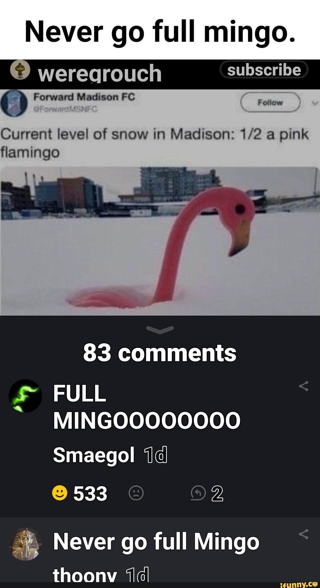 Flamingo memes. Best Collection of funny Flamingo pictures on iFunny