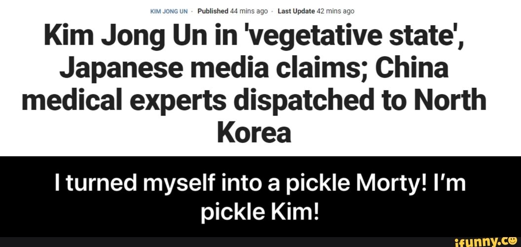 Kim Jong Un in 'vegetative state', Japanese media claims; China medical ...