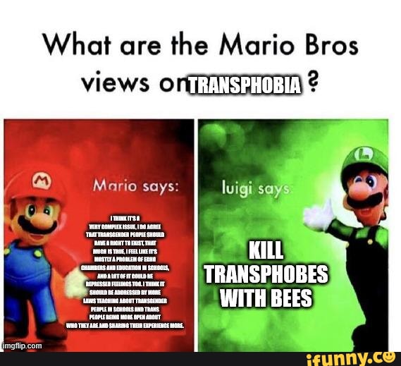 Mario Bros views on trans rights - Mario Bros views on trans rights ...