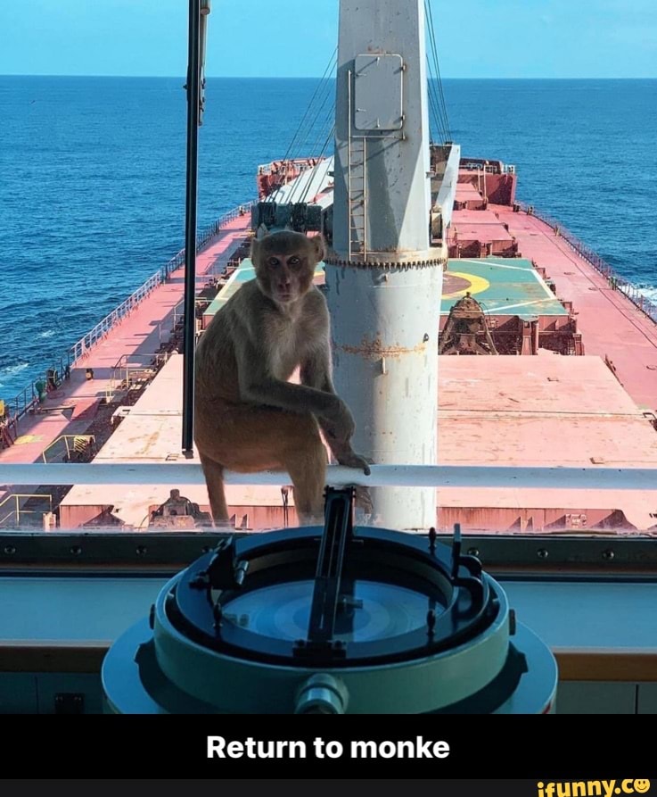 Return to monke - Return to monke - iFunny