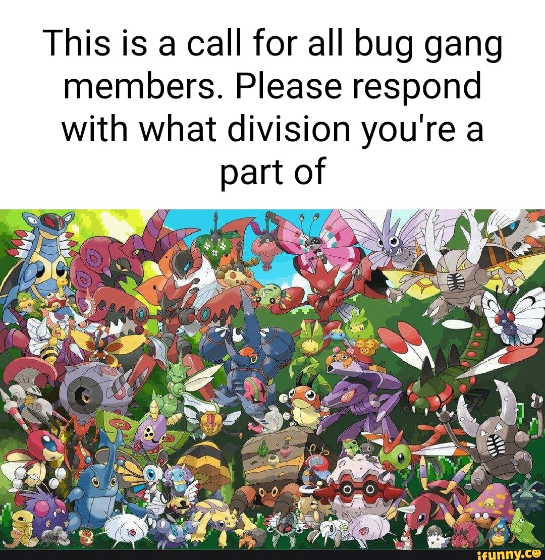 This is a call for all bug gang members. Please respond with what ...