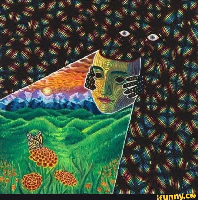 Madarchod memes. Best Collection of funny Madarchod pictures on iFunny