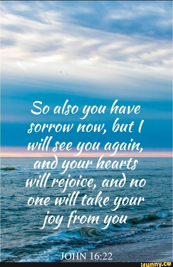 So also you have sorrow now, but YOU GGain, will rejorce, and no one ...