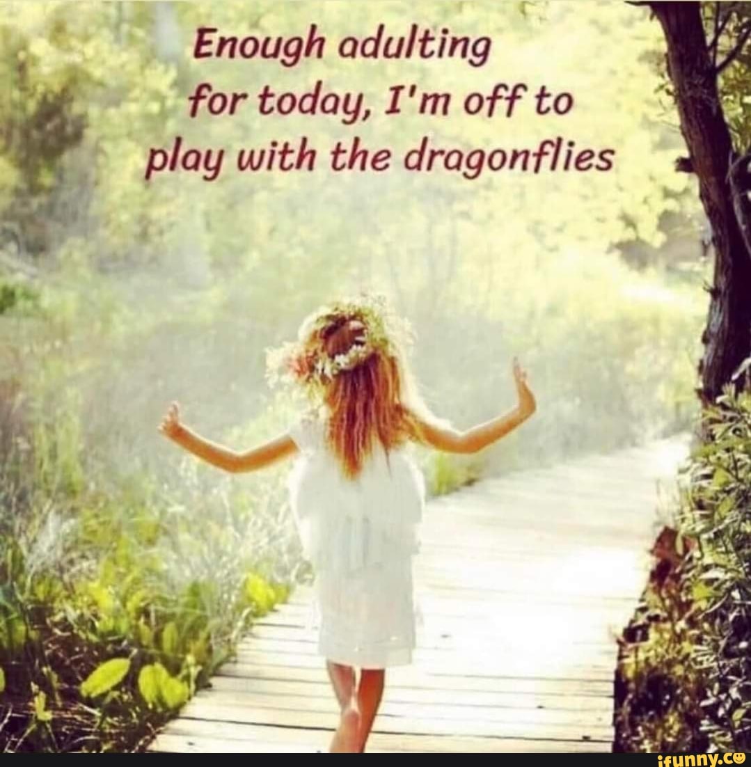 Dragonflies memes. Best Collection of funny Dragonflies pictures on iFunny