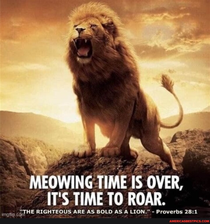 "MEOWING MEOWING TIME IS OVER, IT'S TIME TO ROAR. SJHE RIGHTEOUS ARE AS ...
