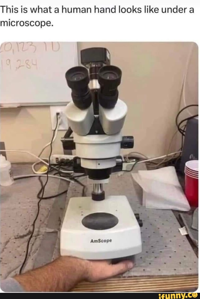 Microscope memes. Best Collection of funny Microscope pictures on iFunny