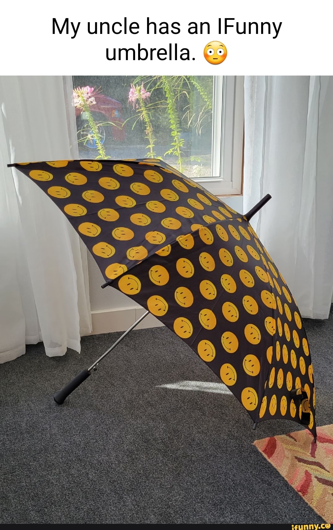 Umbrella memes. Best Collection of funny Umbrella pictures on iFunny
