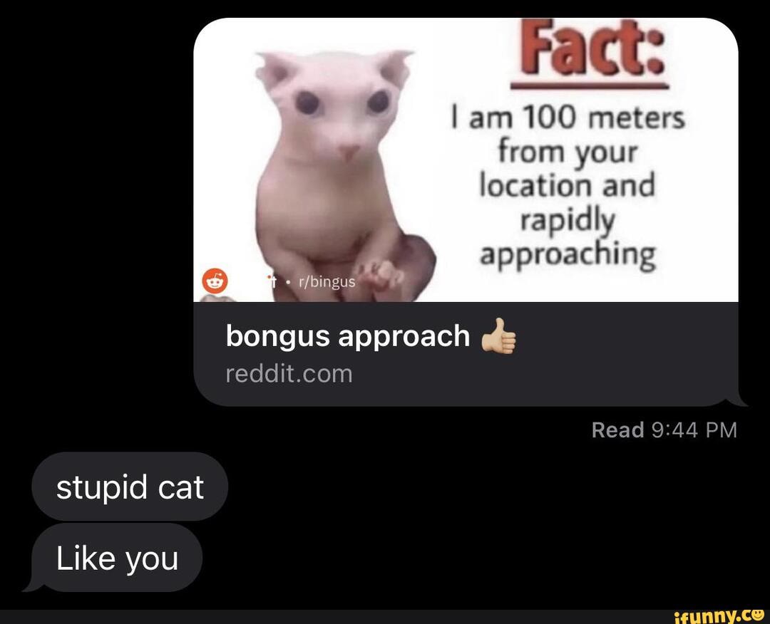Fact: I am 100 meters from your location and rapidly approaching bongus ... Fact: I am 100 meters from your location and rapidly approaching bongus ...