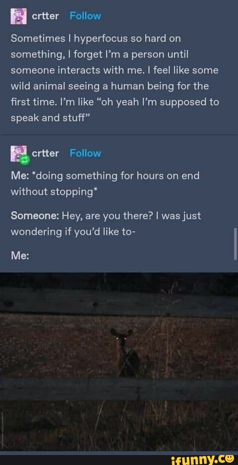 Hyperfocus memes. Best Collection of funny Hyperfocus pictures on iFunny