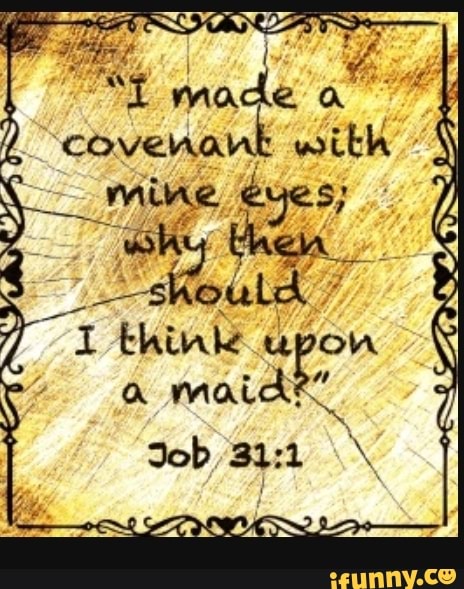 Maide memes. Best Collection of funny Maide pictures on iFunny