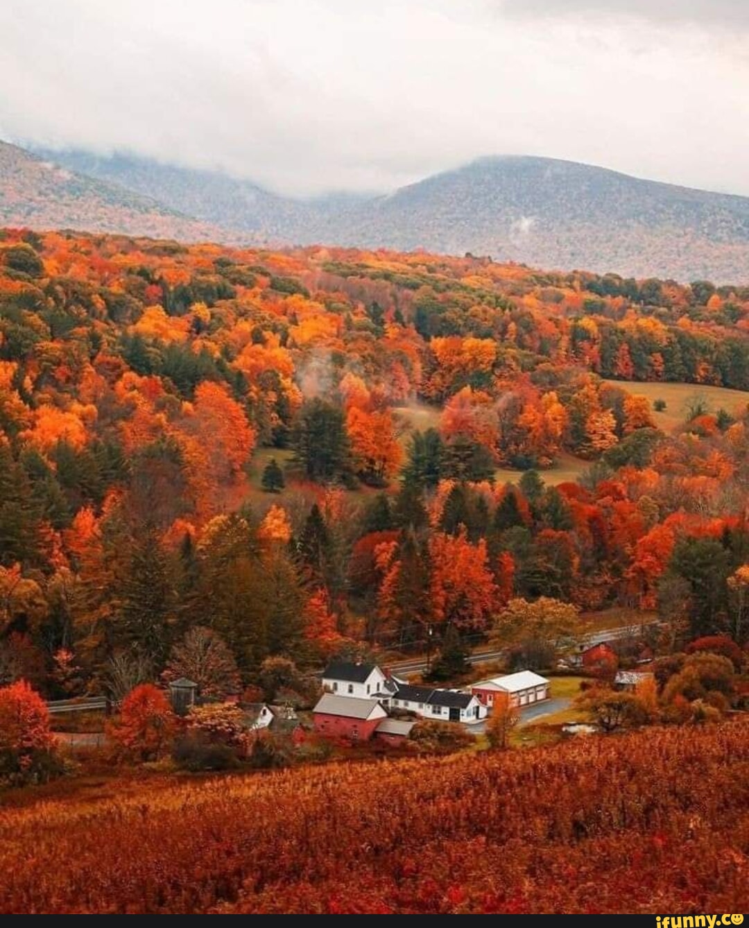 Fall memes. Best Collection of funny Fall pictures on iFunny