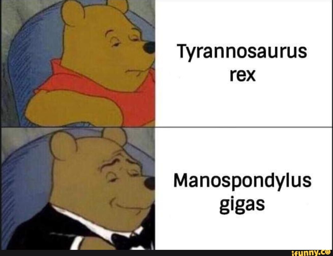Tyrannosaurus rex Manospondylus gigas - iFunny