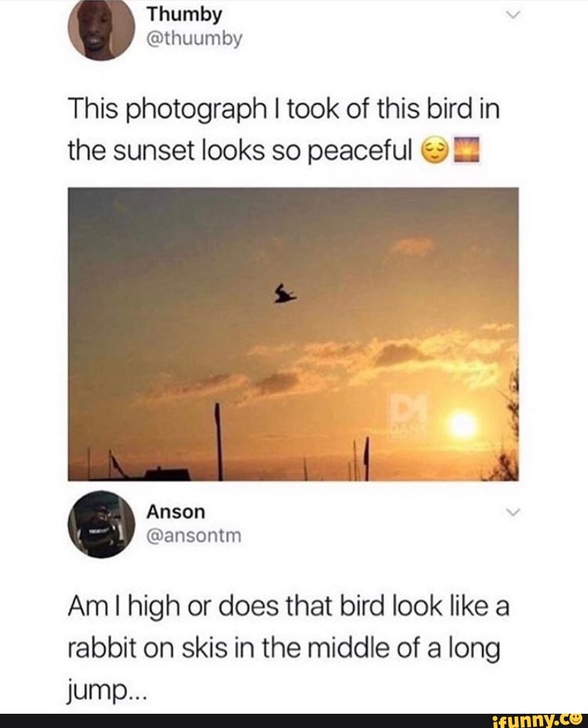 Thumby memes. Best Collection of funny Thumby pictures on iFunny