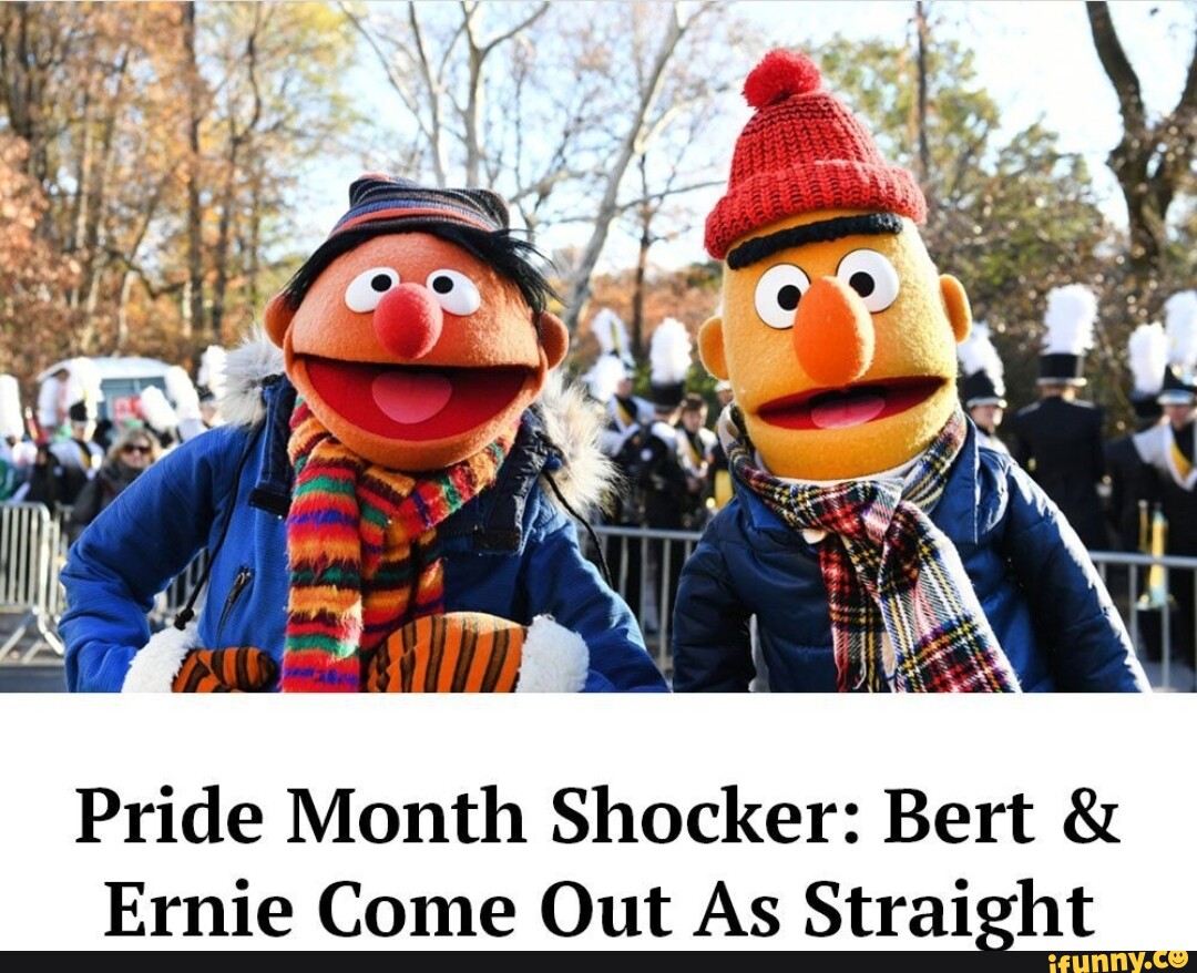Pride Month Shocker: Bert & Ernie Come Out As Straight - iFunny