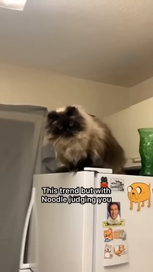 Judging You Meme