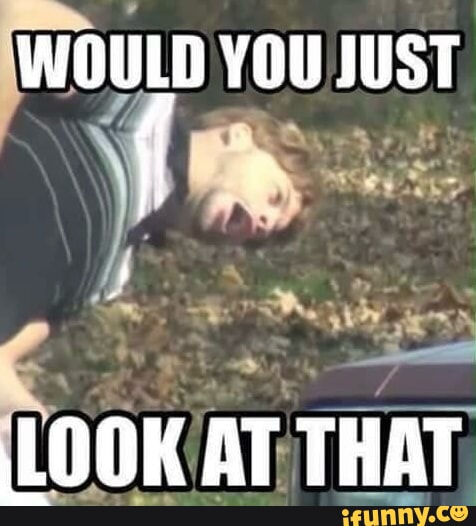 WOULD YOU JUST LOOK AT THAT - iFunny