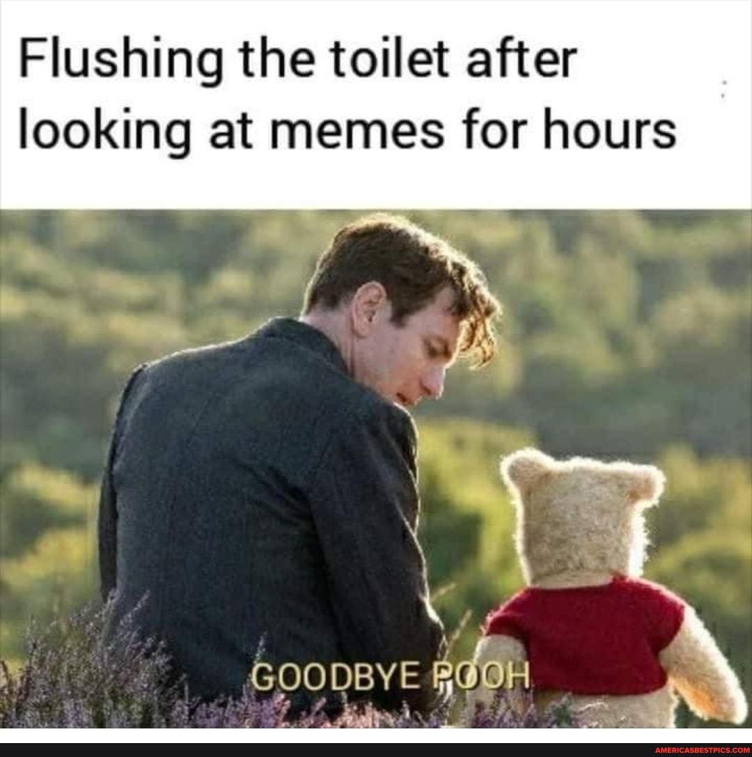 Flushing the toilet after looking at memes for hours GOODBYE oe ...