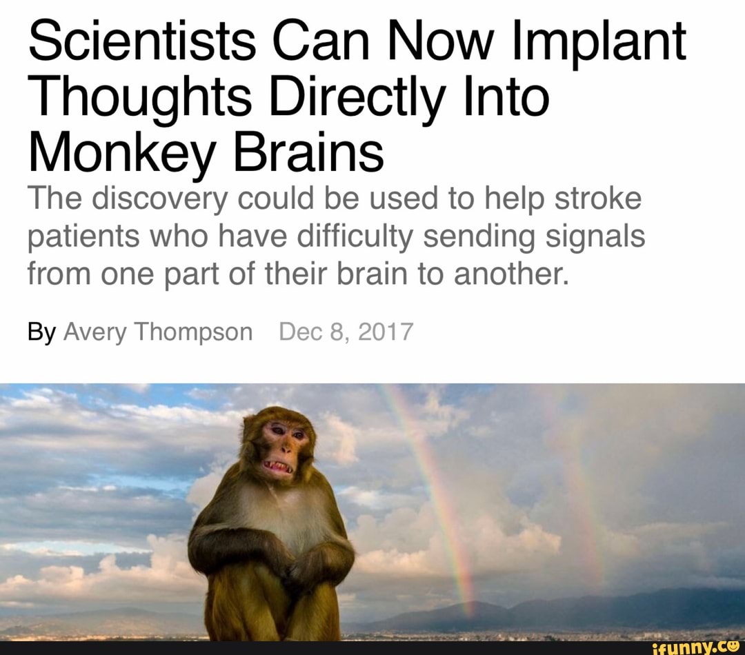 Scientists Can Now Implant Thoughts Directly Into Monkey Brains The ...