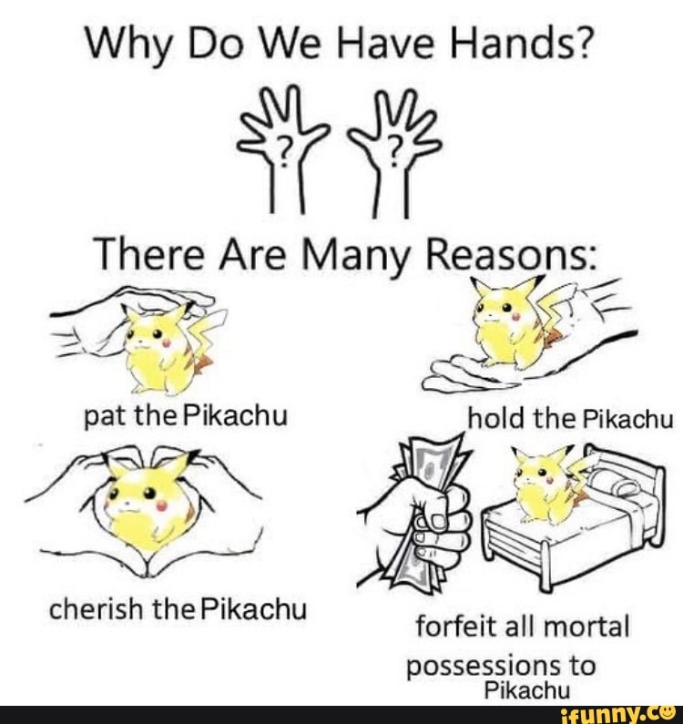 Why Do We Have Hands? There Are Many Reasons: pat the Pikachu the ...