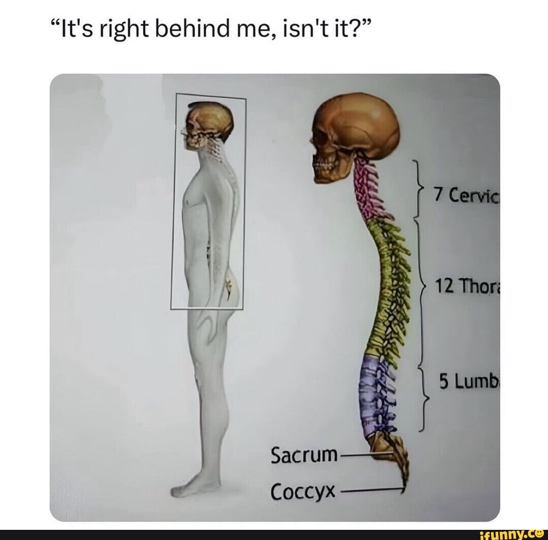 You got 2 weeks at for? Until death duh nah 6: lang ag it's curse Ye at ...